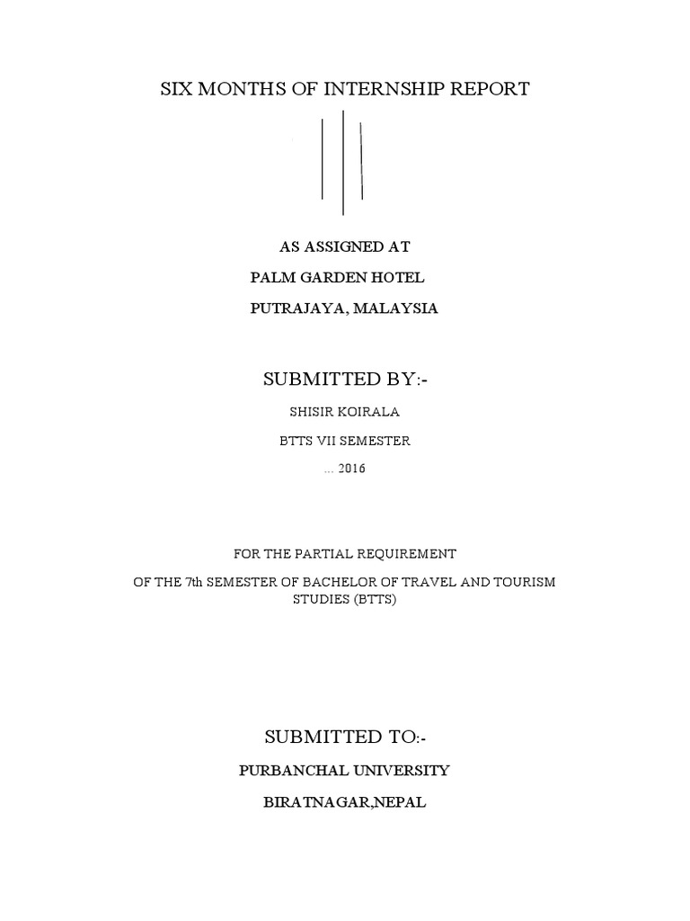 Six Months of Internship Report | PDF | Internship | Job Hunting