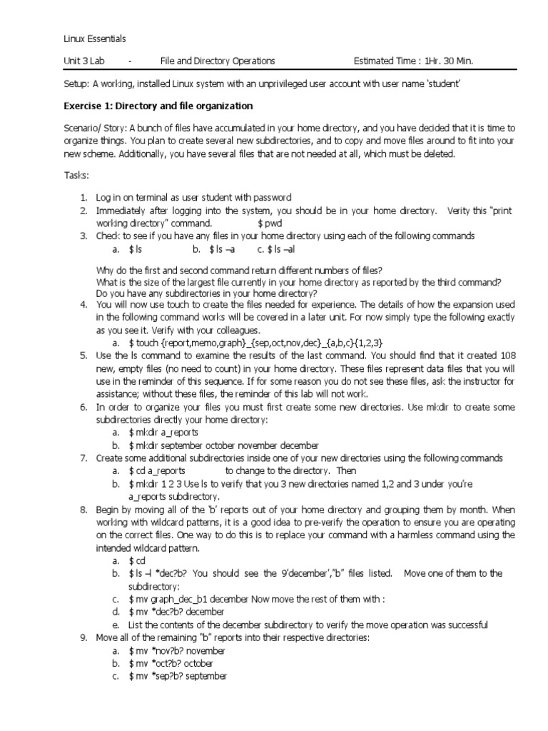 2a Basic Commands Lab Pdf Directory Computing Computer File 3042