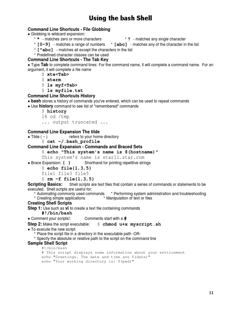 Bash And Shell Programming Basics Pdf Information Technology Management Unix