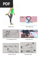 Flamingo Balance Test | PDF