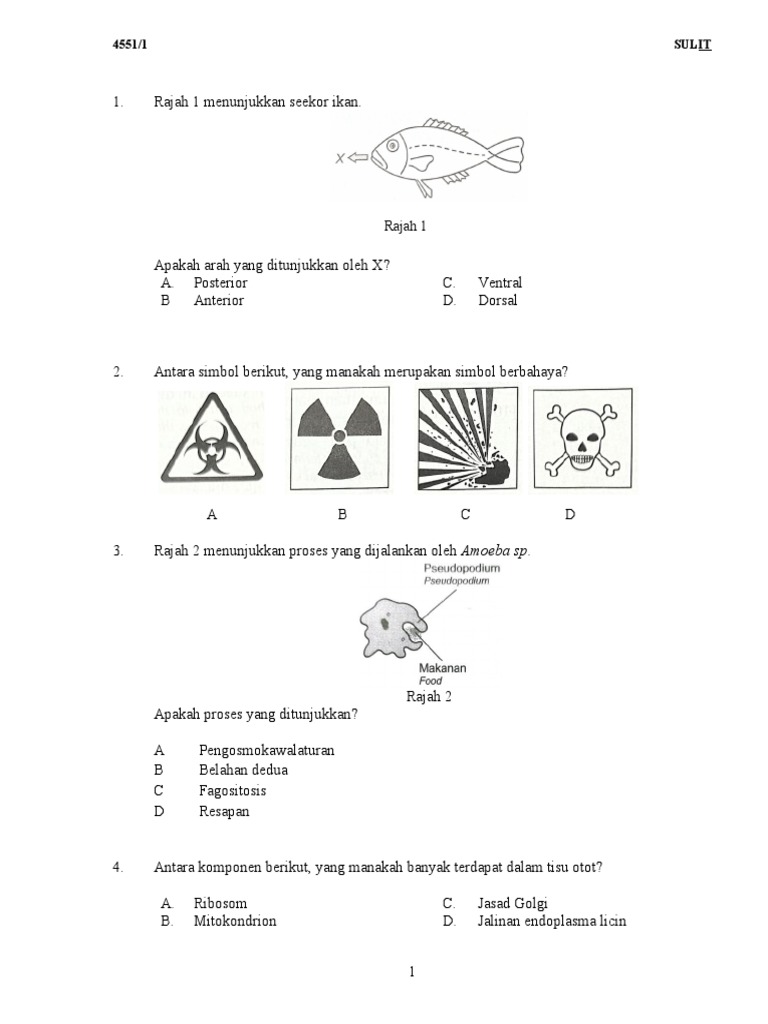 K1 BIO F4 2022 Edit | PDF
