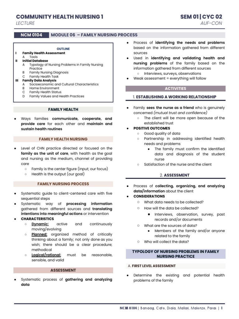 06 - LEC Family Nursing Process | PDF | Nursing | Family