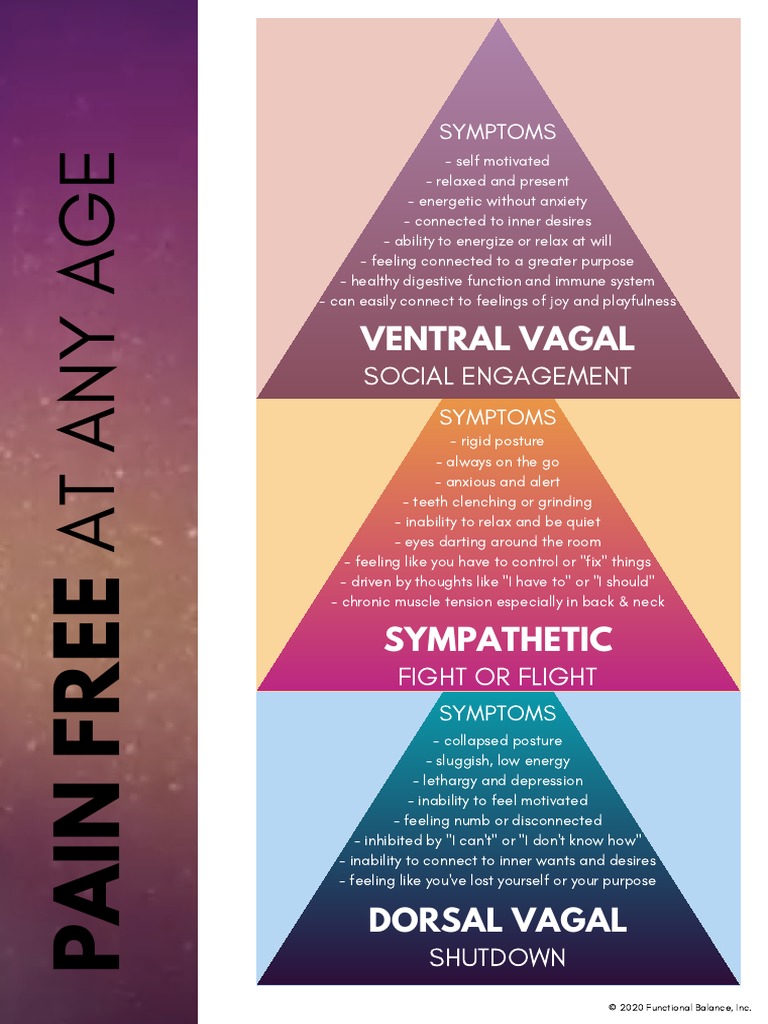 Signs of a Balanced Nervous System: Symptoms Indicating Optimal ...