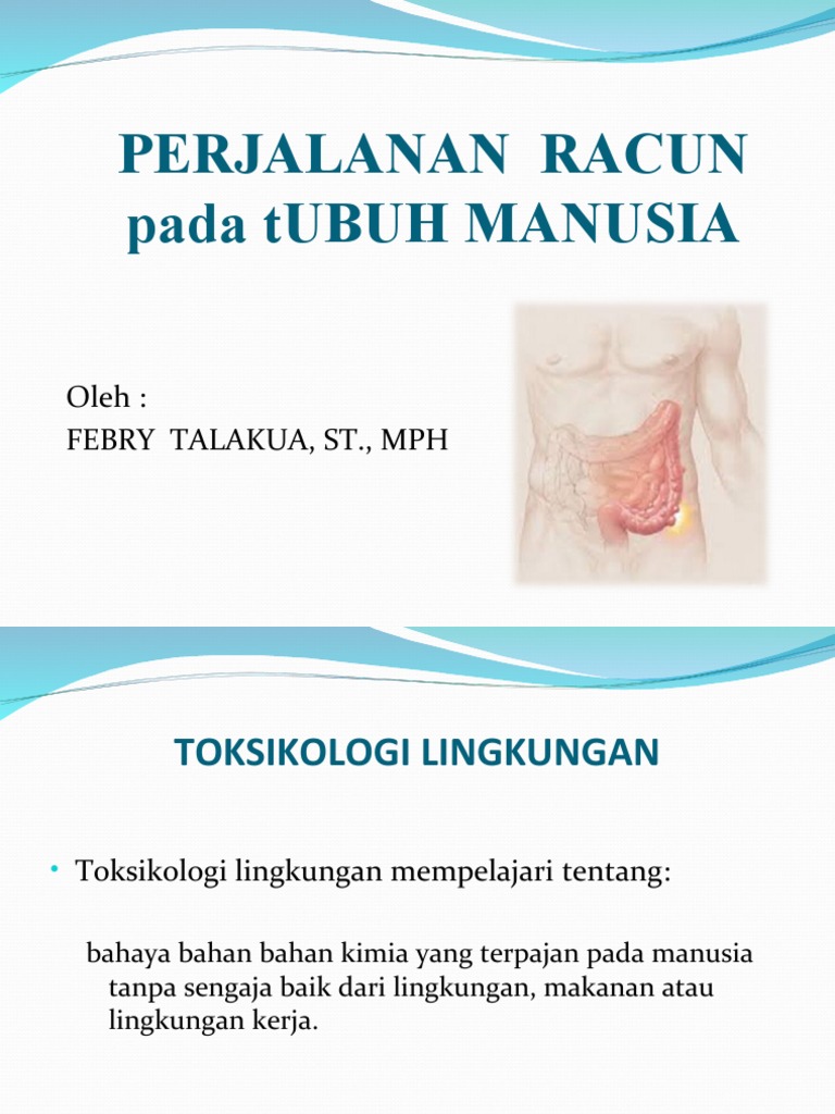 PERJALANAN RACUN PADA TUBUH MANUSIA - Pertemuan 4 | PDF