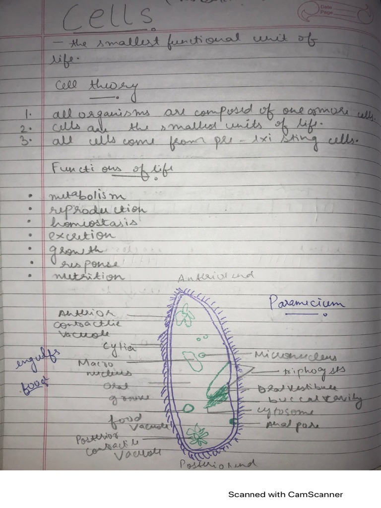 cell-notes-pdf