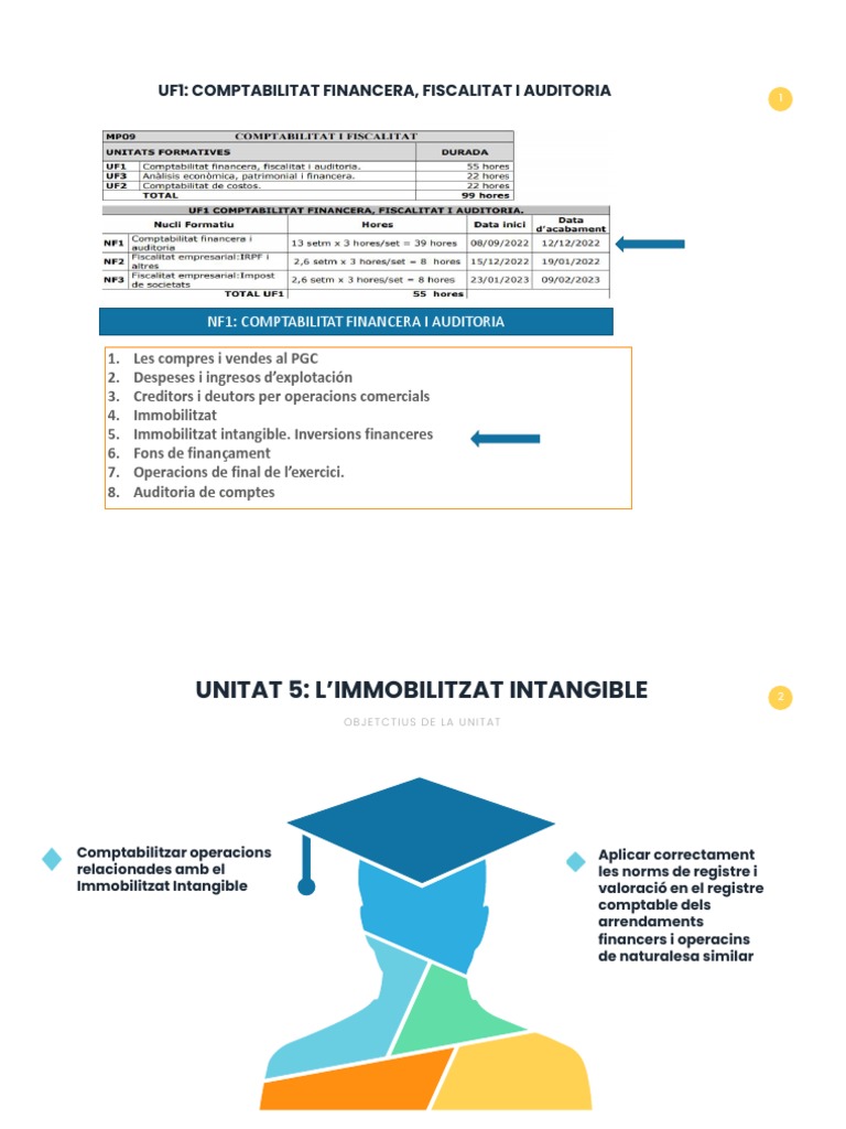 Presentació Unitat 5 Immobilitzat Intangible | PDF