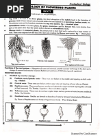 Maths 2 Digest Class 11th | PDF