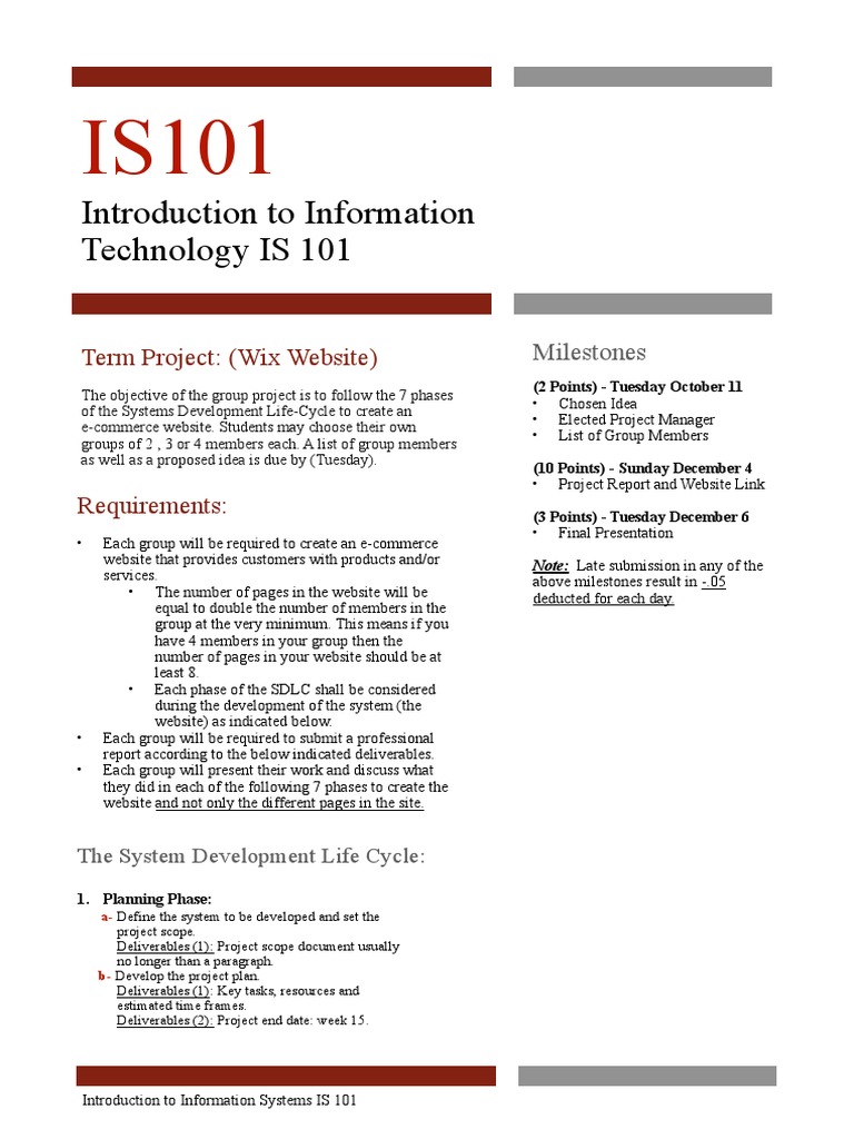 IS 101 Project | PDF | Systems Engineering | Information Technology