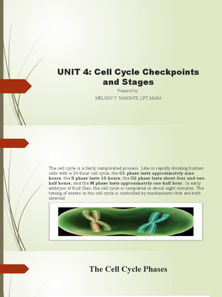 UNIT 4 Cell Cycle | Download Free PDF | Cell Cycle | Mitosis