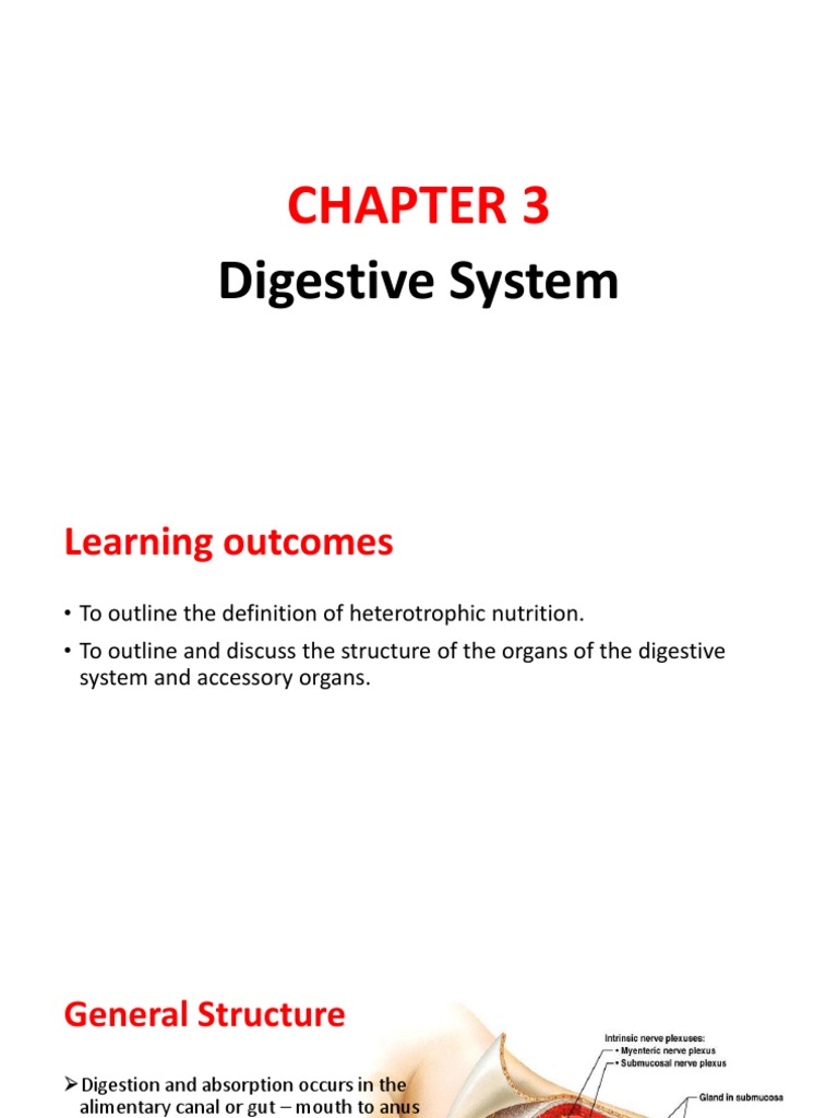 Updated - CHAPTER 3 Nutrition and Digestion | Download Free PDF ...