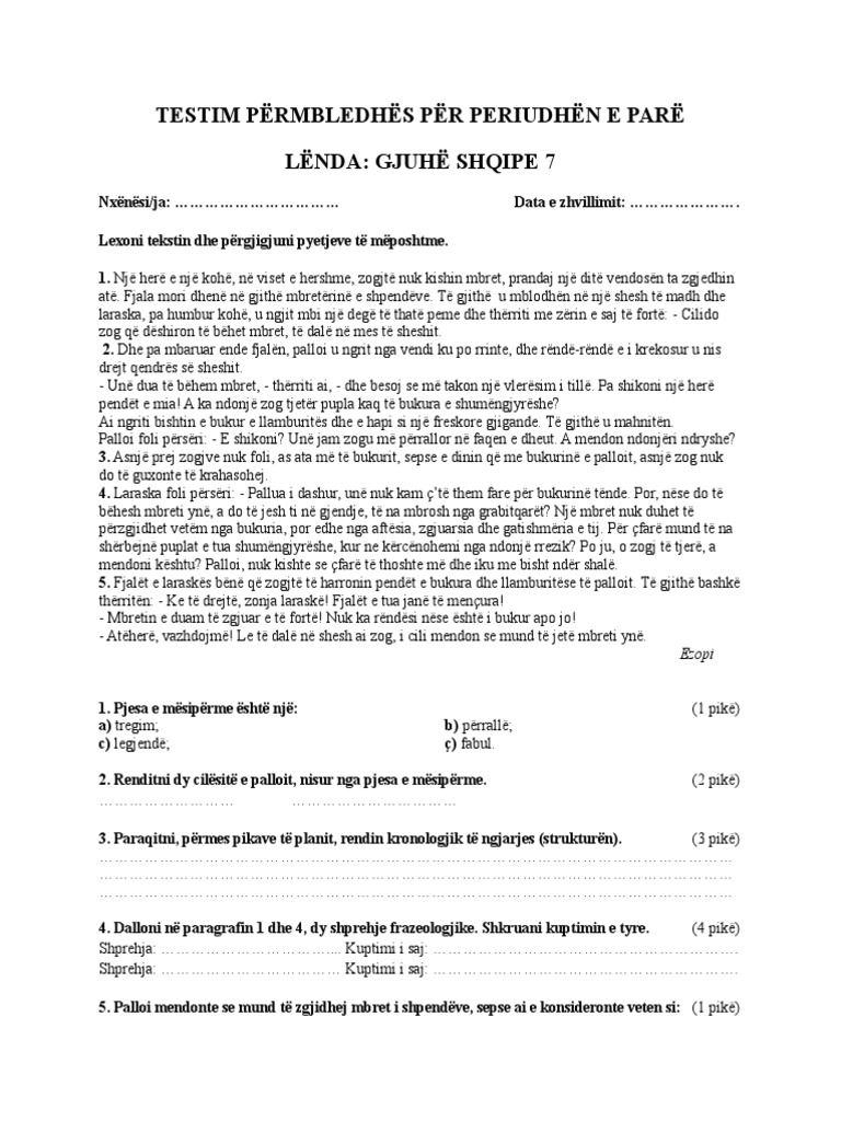 Testim Përmbledhës Për Periudhën e Parë | PDF