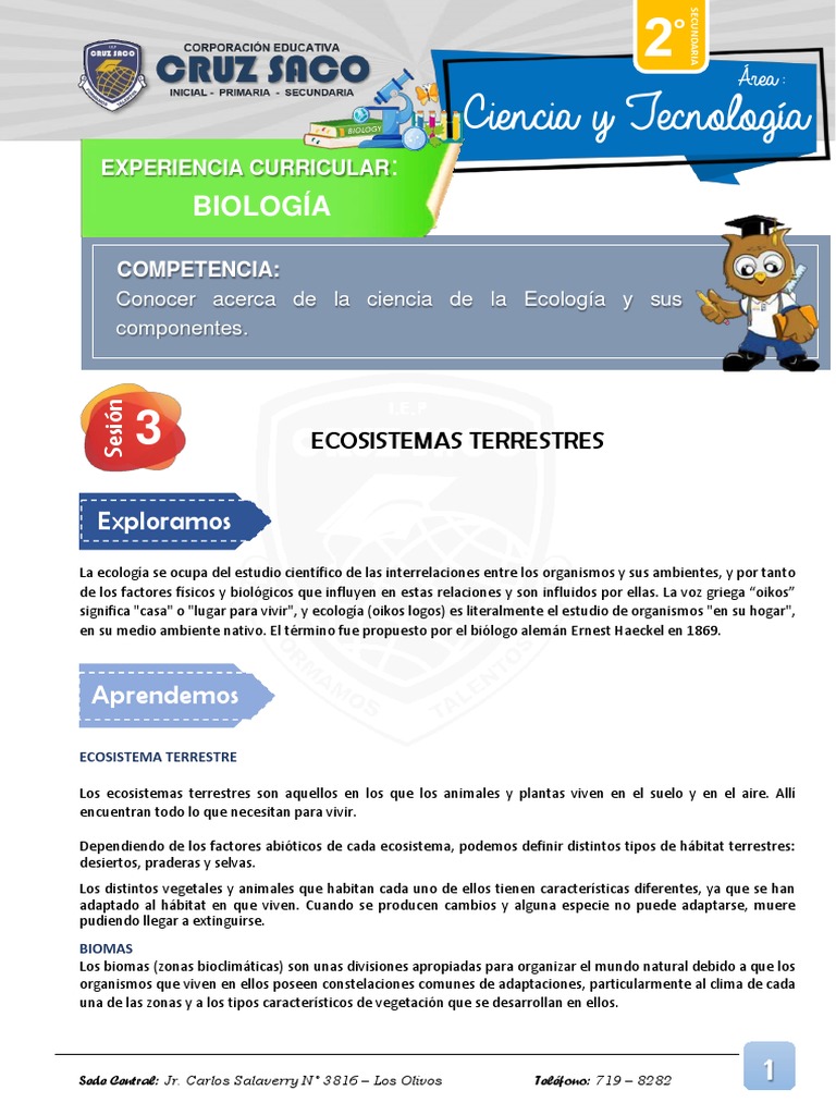 2ºaño Biología s3 Ecosistemas Terrestres | PDF | Ecosistema | Suelo