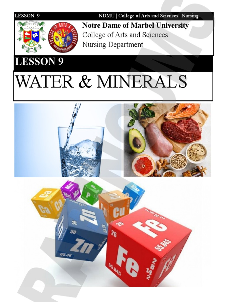 Ncm+105.Lesson9.Minerals Water | PDF | Nutrients | Iron