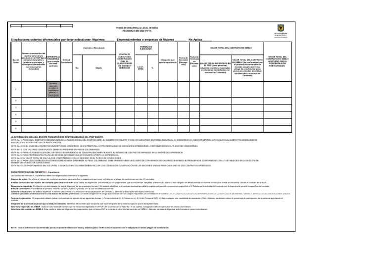 Formato Experiencia FDL Bosa 2022 | PDF