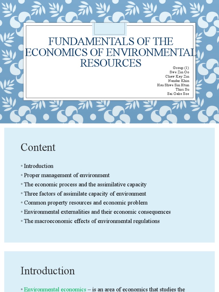 Fundamentals of The Economics of Environmental Resources | PDF | Externality | Resource