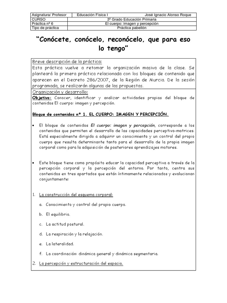 Práctica 6 | PDF | Percepción | Aprendizaje