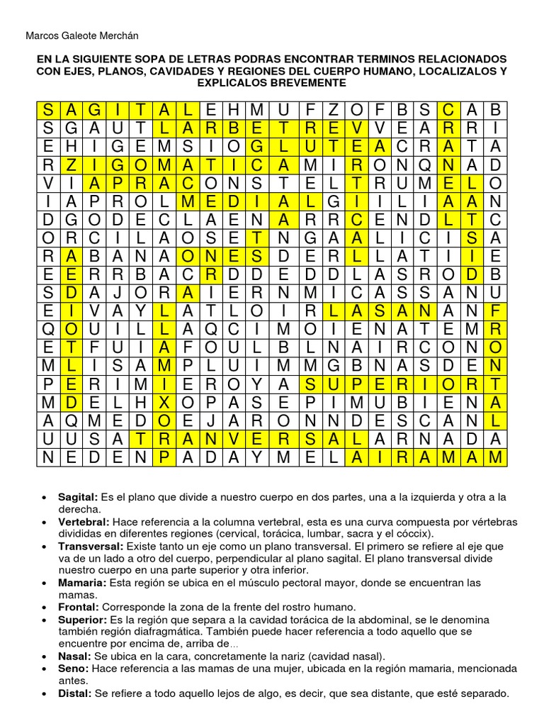 Sopa Letras de Las Regiones Del Cuerpo Humano | PDF | Vértebra ...