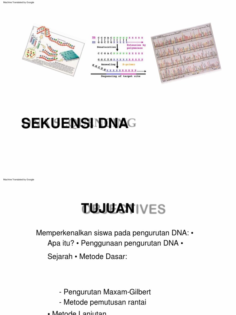 Lecture 11 DNA Sequencing | PDF