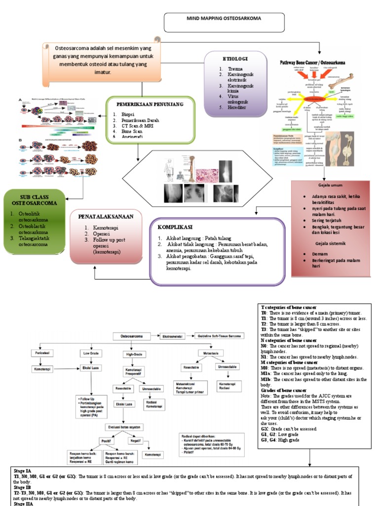 Osteosarcoma: Types, Symptoms, and Care | PDF | Oncology | Epidemiology