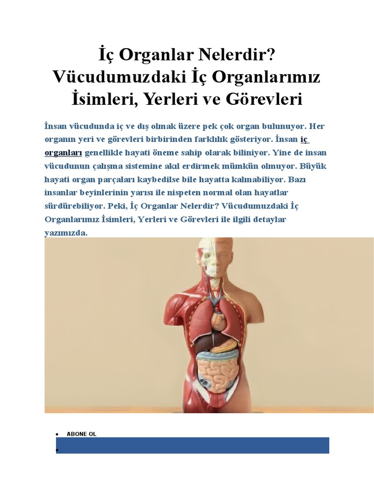 İç Organlar Nelerdir | PDF