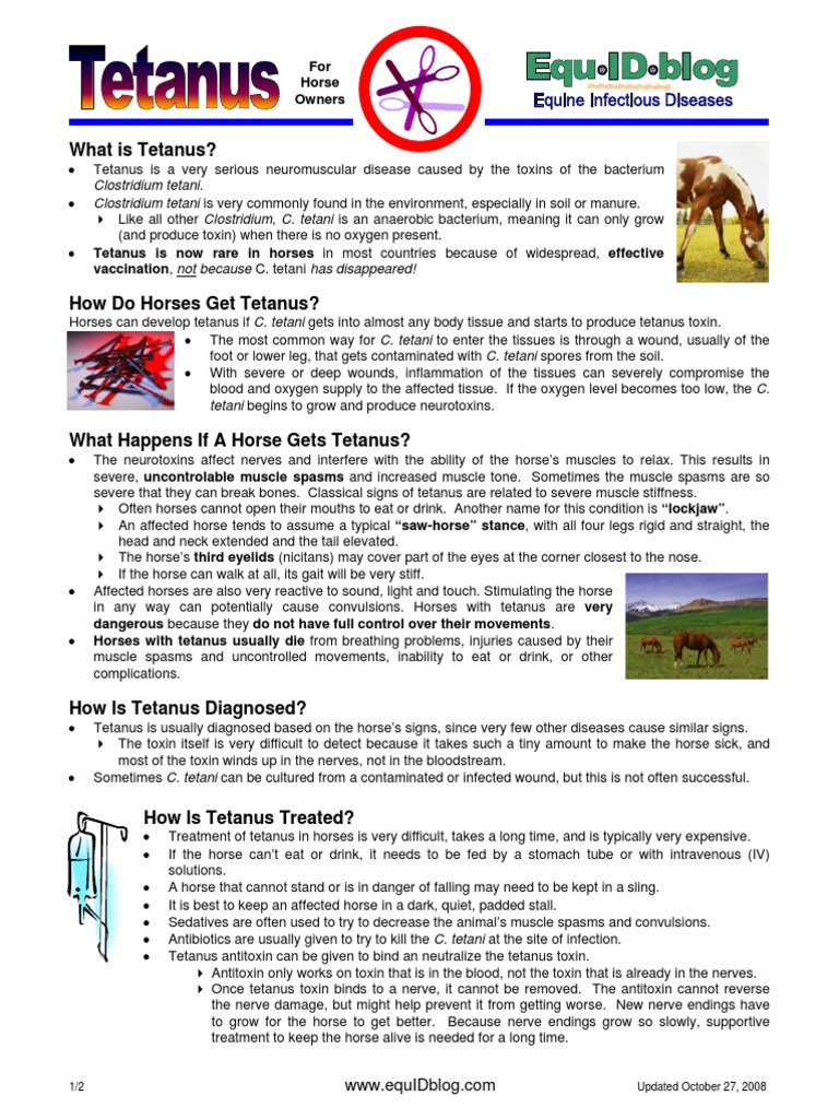 JSW MA1 Tetanus | PDF | Clinical Medicine | Public Health