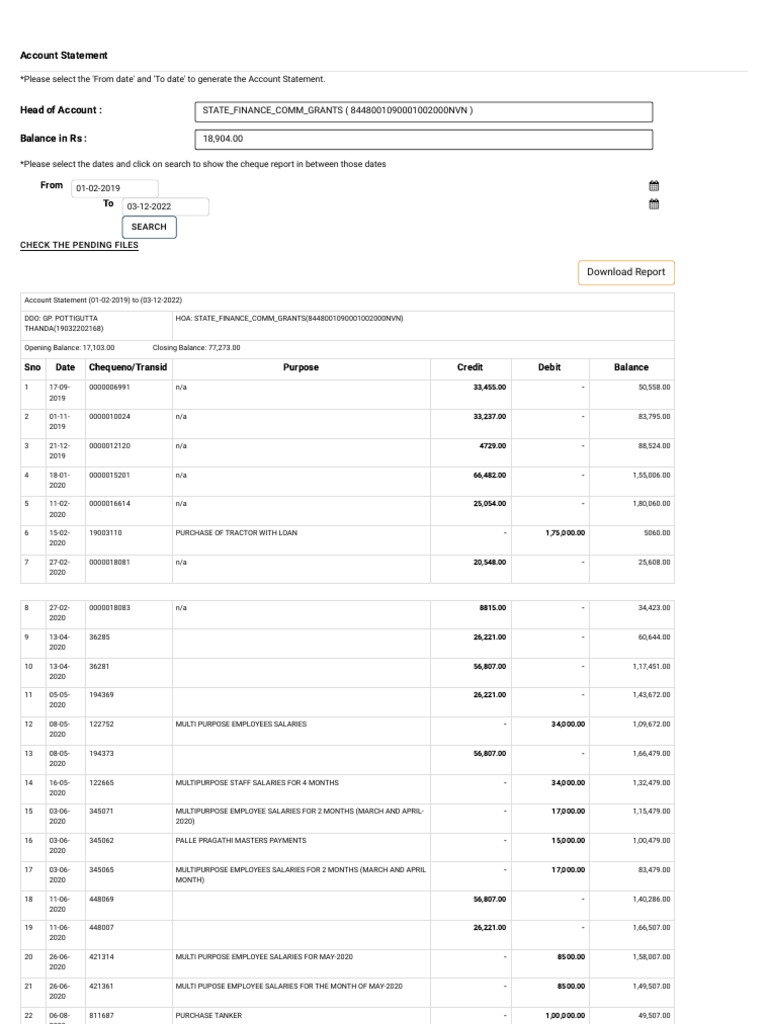 Account Statement Report | PDF | Accounting | Corporate Jargon