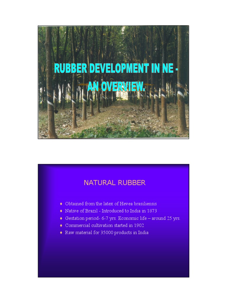 Natural Rubber | PDF | Natural Rubber | Agriculture