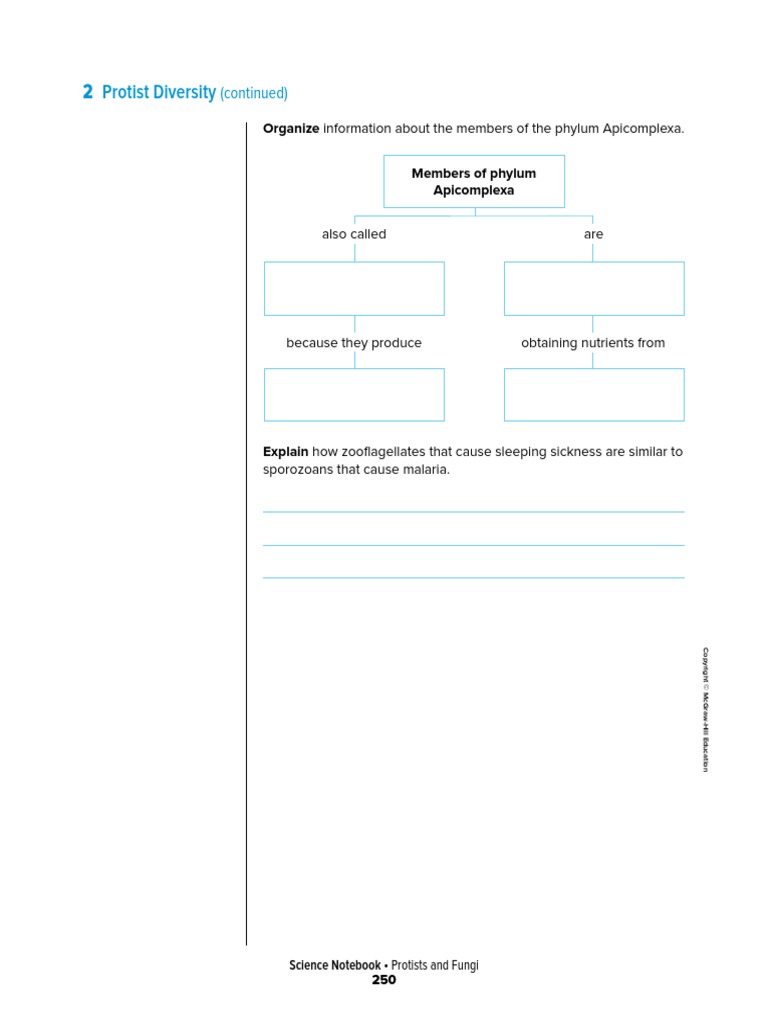 Lesson 2 Diversity of Protists | PDF | Fungus | Algae