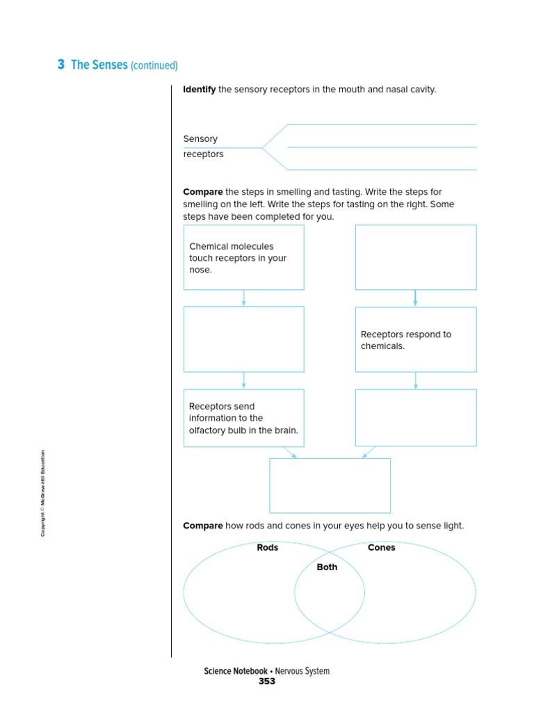 Lesson 4 The Senses | PDF | Senses | Ear