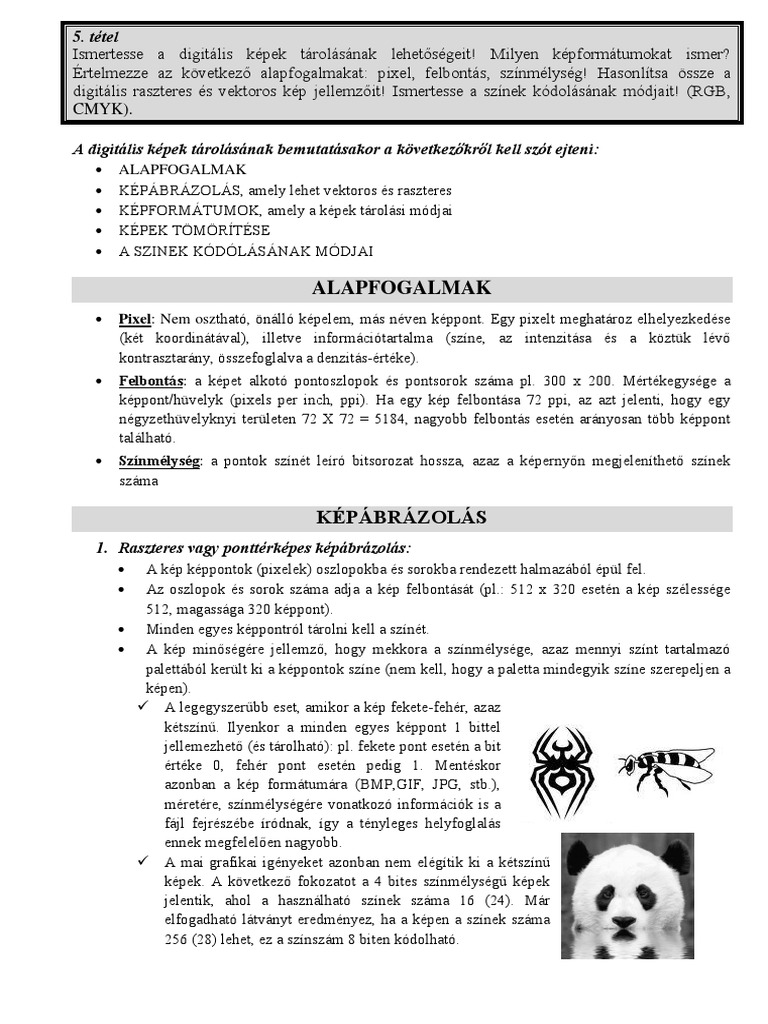 5.tétel - Képformátumok | PDF