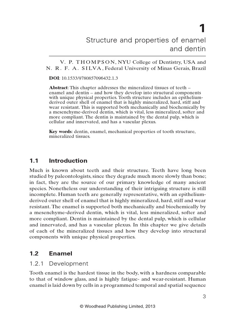 Structure and Properties of Enamel and Dentin | PDF | Tooth Enamel | Dentin