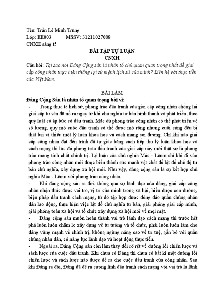 Trần Lê Minh Trung BTTL | PDF