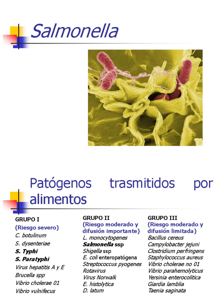Salmonella - 2022 B | PDF | Salmonela