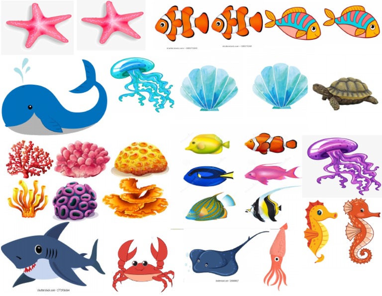 Sea Creatures | PDF