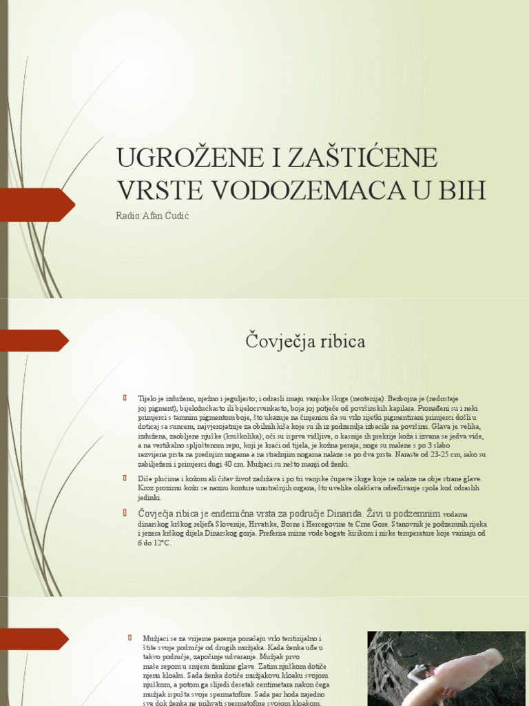 Ugrožene I Zaštićene Vrste Vodozemaca U Bih | PDF