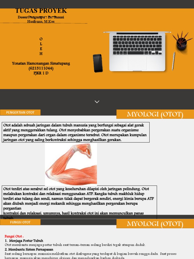 Tugas Proyek Anatomi Yonatan Simatupang | PDF