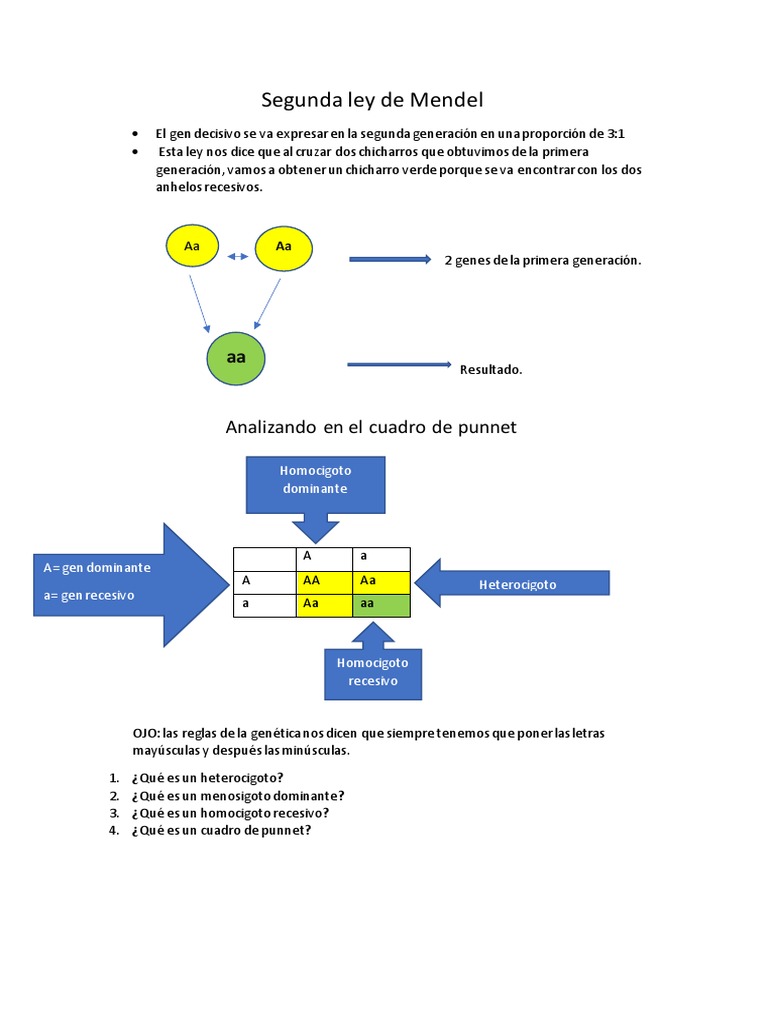 Segunda Ley de Mendel y Herencia Genética | PDF