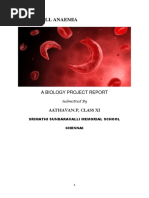 Genetics of Sickle Cell Anemia Worksheet | PDF | Zygosity | Allele