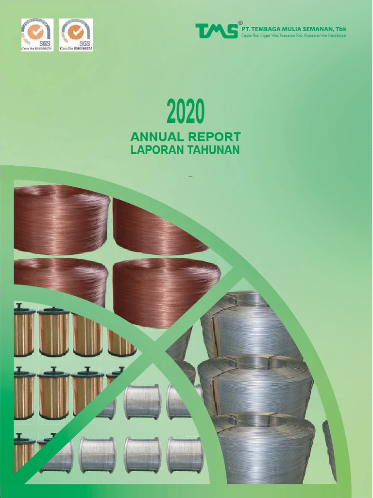 TBMS - Annual Report 2020 | PDF | Corporate Social Responsibility ...