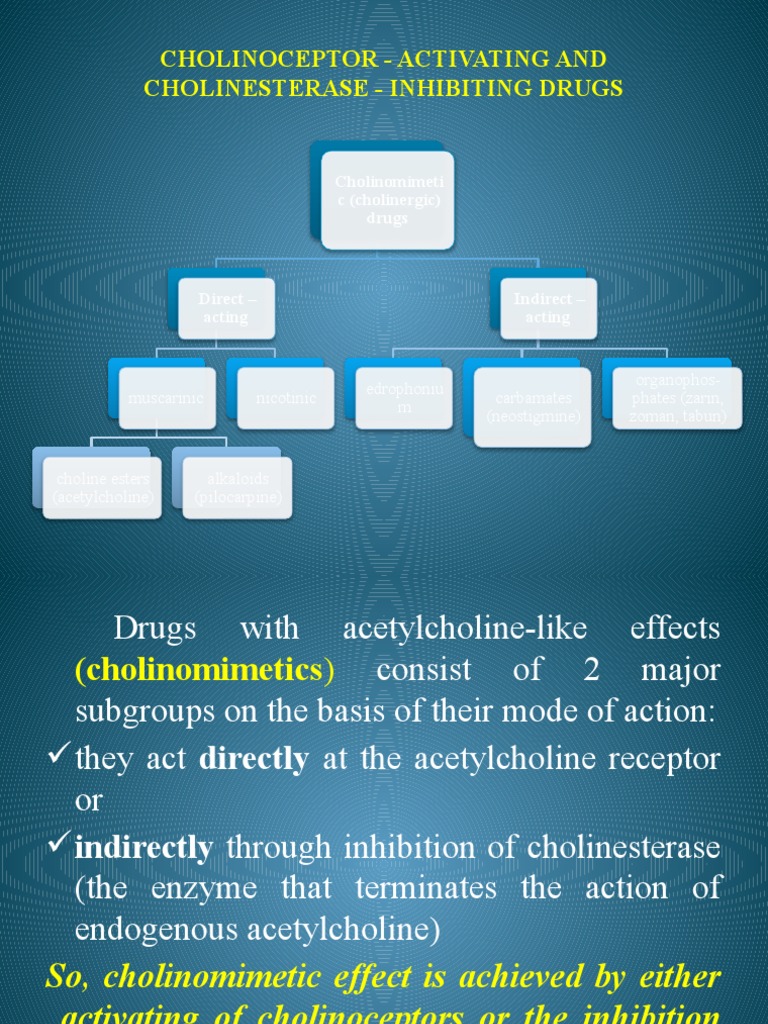 Cholinomimetic Drugs and Effects | PDF | Norepinephrine | Acetylcholine