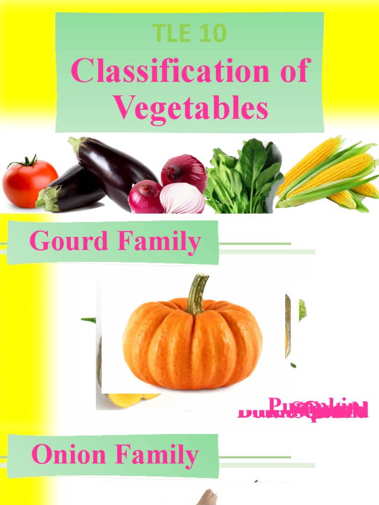 Vegetable Classification Overview | PDF | Cooking, Food & Wine ...