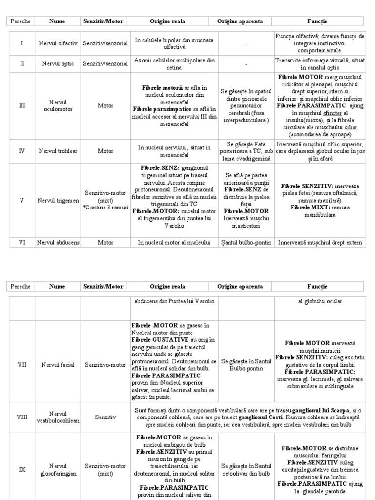 Nervii Cranieni Tabel | PDF