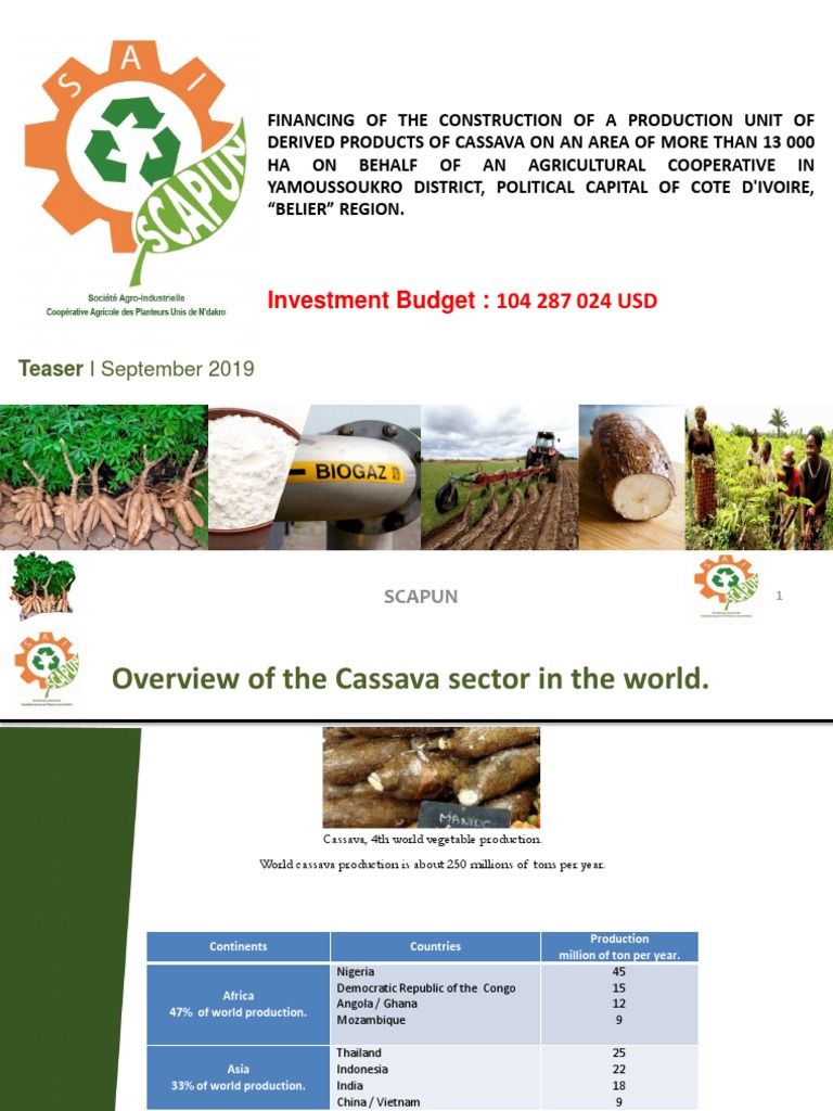 Cassava Project | PDF | Discounted Cash Flow | Economies