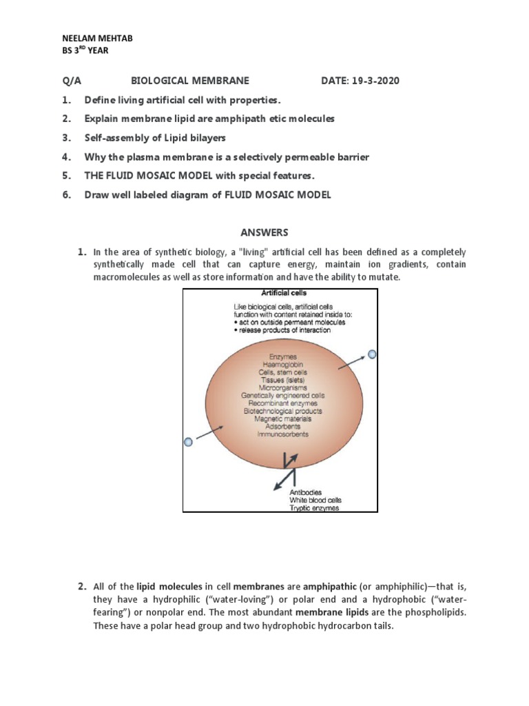 Tissue Biochemistry | PDF | Cell Membrane | Lipid Bilayer