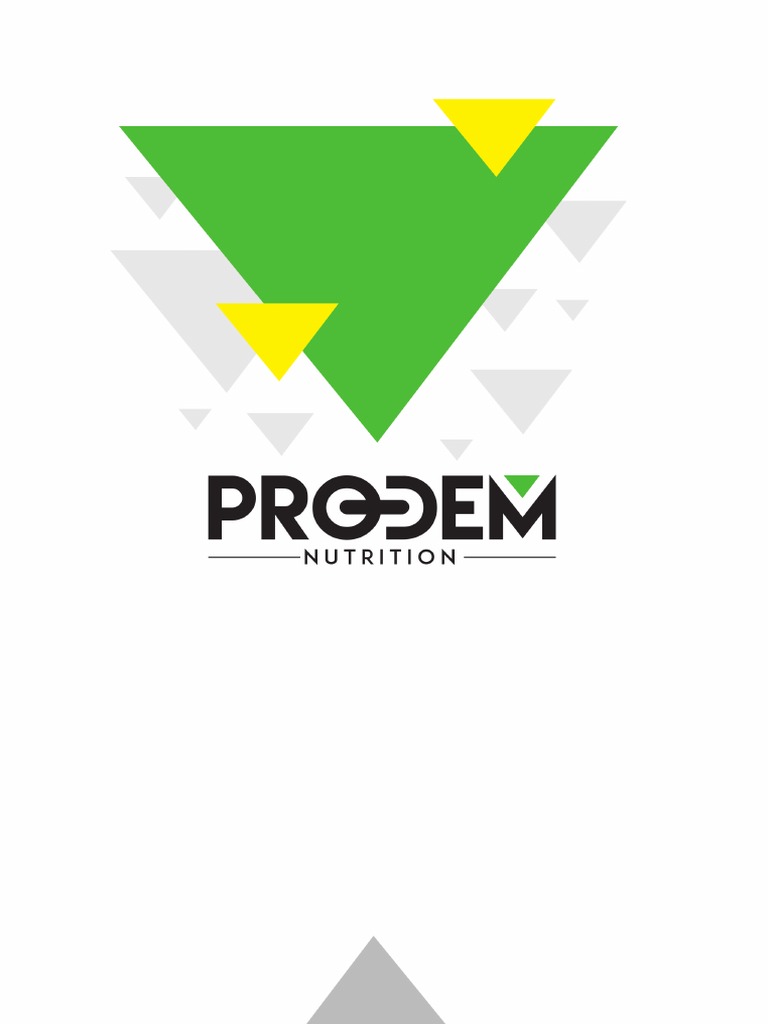 PRODEM Katalog Eng | PDF