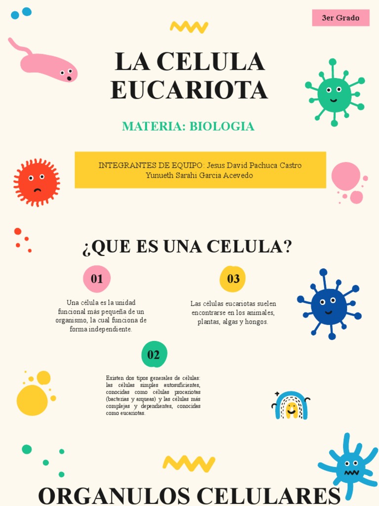 Exposicion Celula Eucariota | PDF | Biología Celular) | Eucariotas