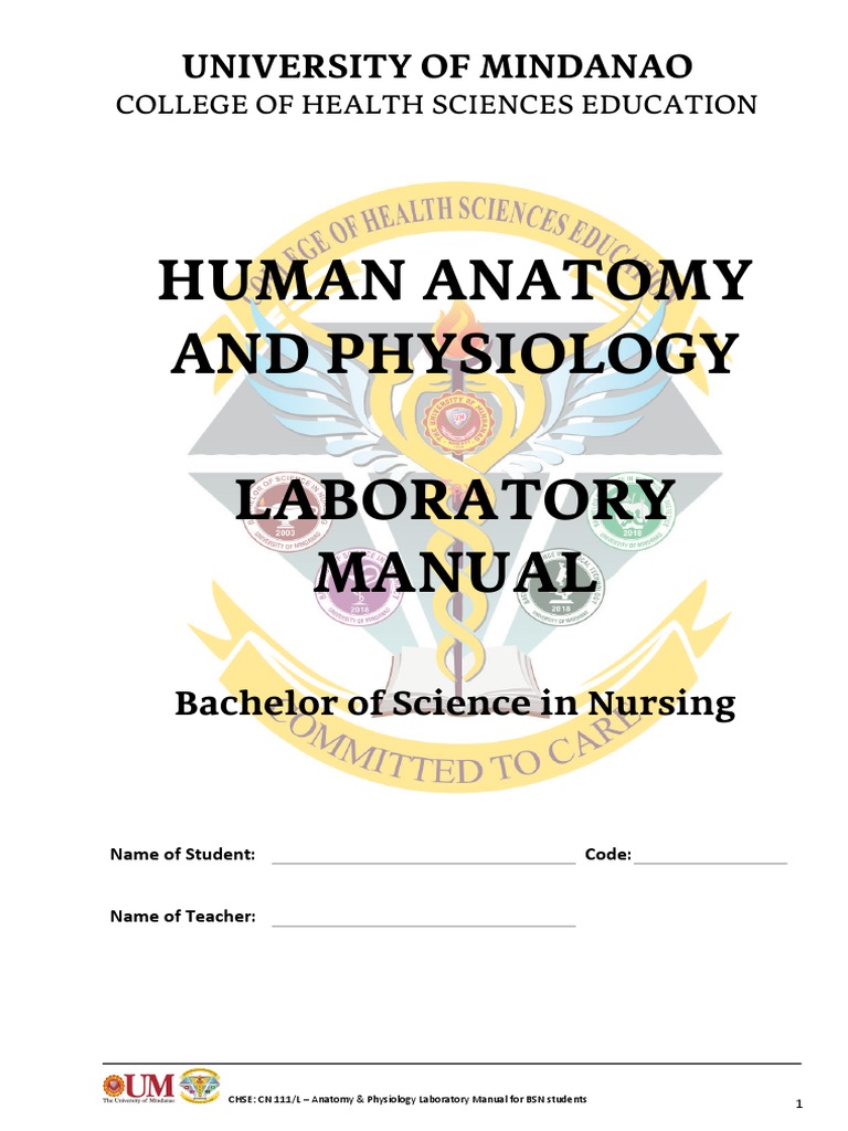 Lab 9 Nervous System | PDF | Cerebrospinal Fluid | Brain
