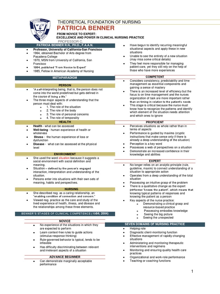 Patricia Benner | PDF | Cognitive Psychology | Behavioural Sciences