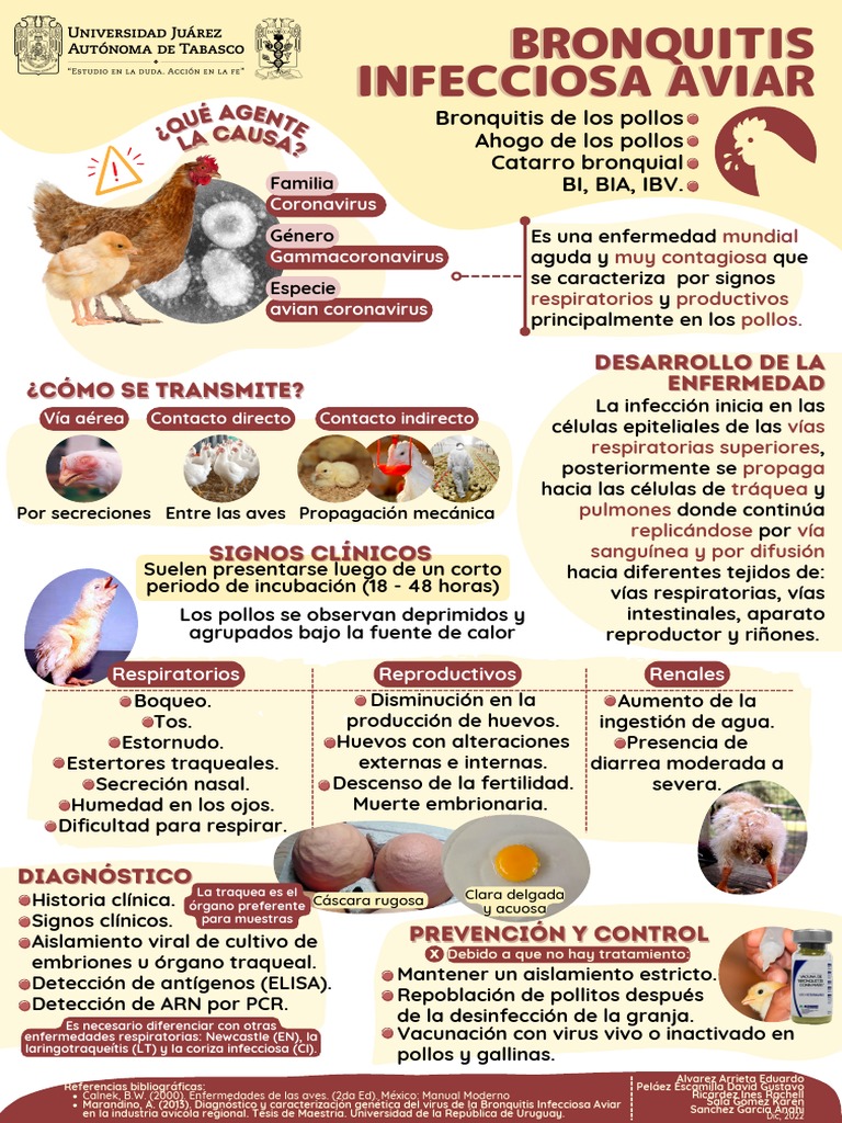Cartel Bronquitis Infecciosa Aviar | PDF | Virus | Infección Cartel Bronquitis Infecciosa Aviar | PDF | Virus | Infección