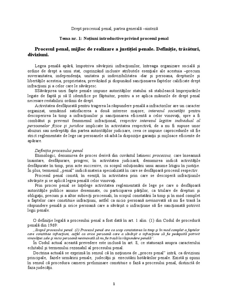 Sinteza Tema 1 DPP I | PDF